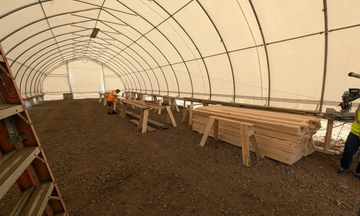 Under the Slab - North Olympic Library System (NOLS)