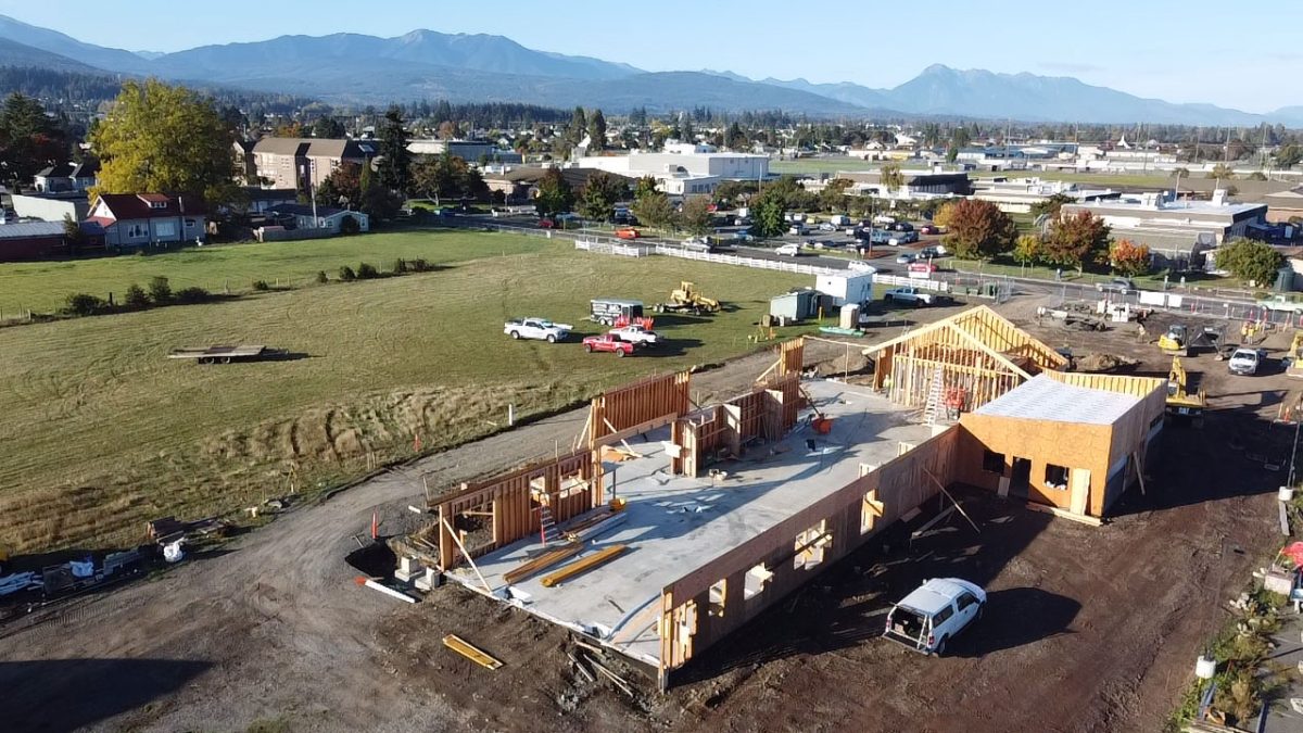 Almost Out of the Ground - North Olympic Library System (NOLS)