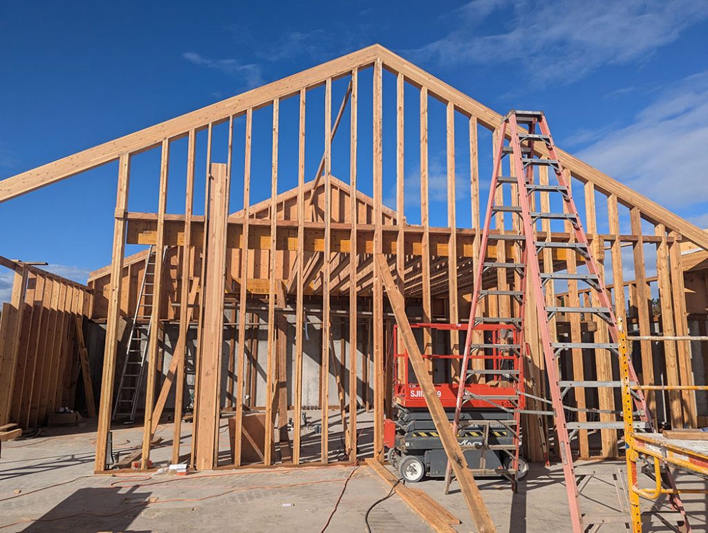 Almost Out of the Ground - North Olympic Library System (NOLS)